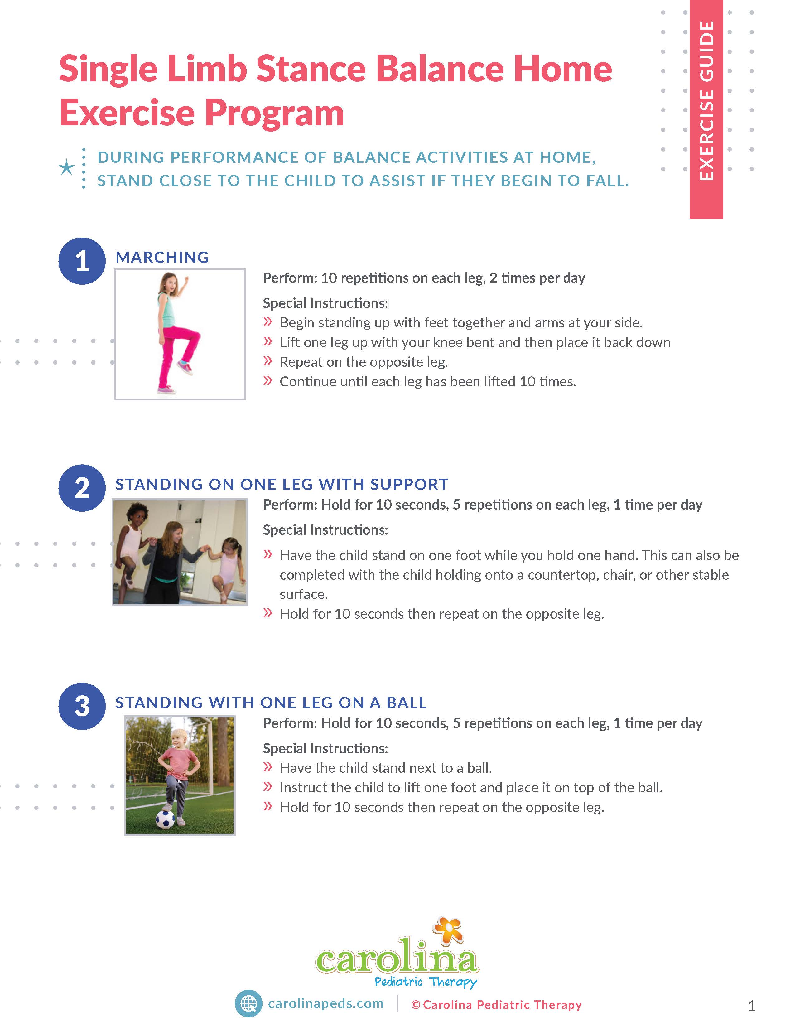 Single Limb Stance Balance