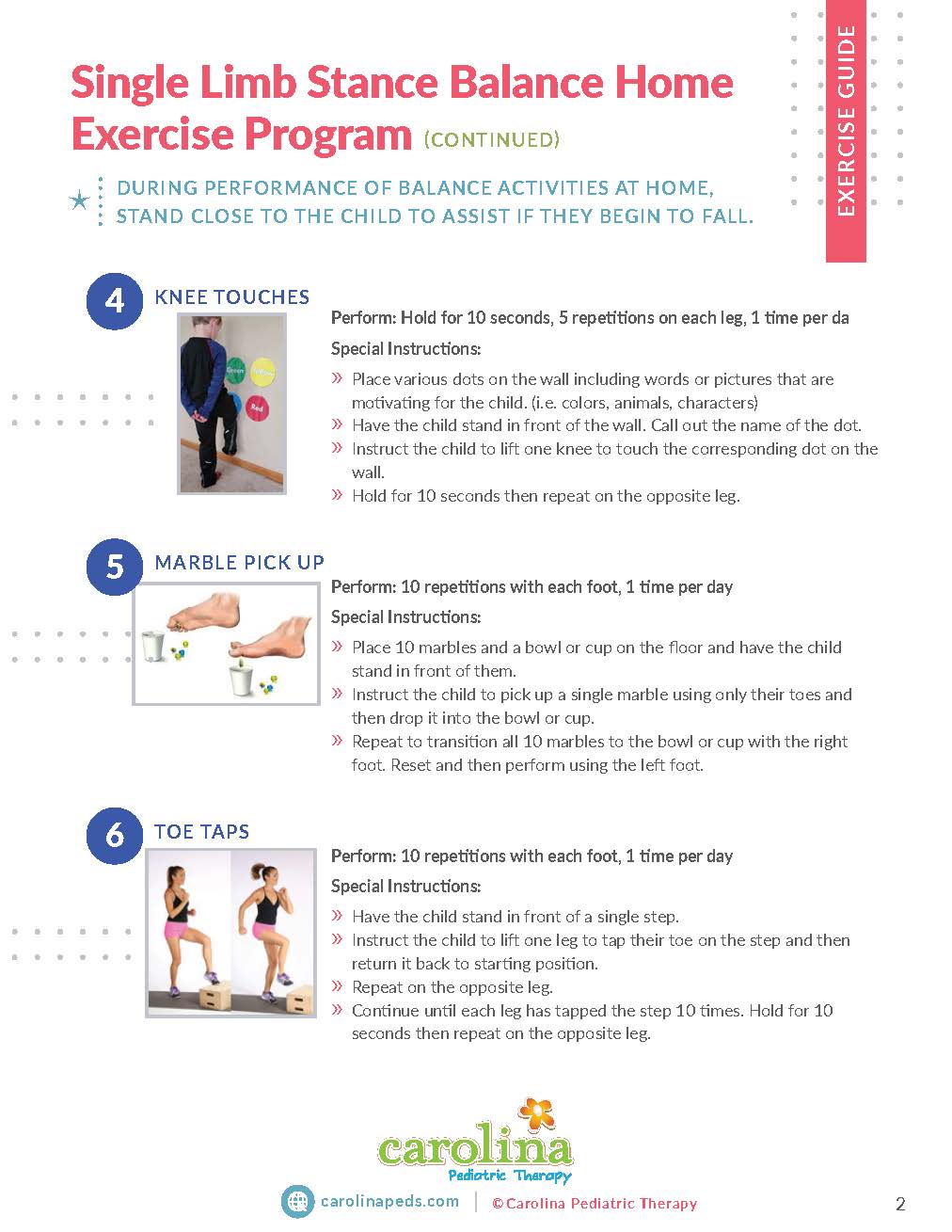 Single Limb Stance Balance