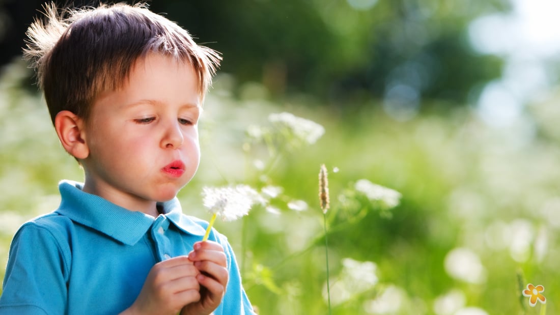 Taking Occupational Therapy Home